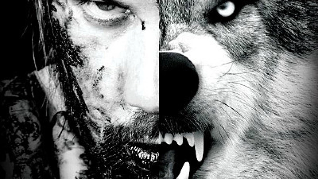 Beartooth’s ‘Aggressive’ a compelling statement for the validity of ...