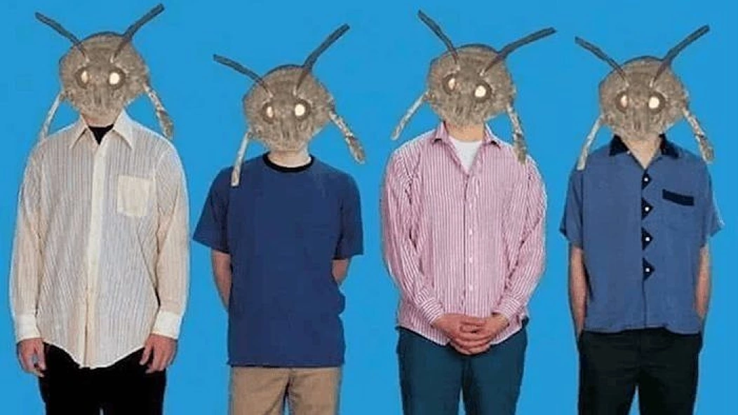 12 best moth memes the music world has to offer