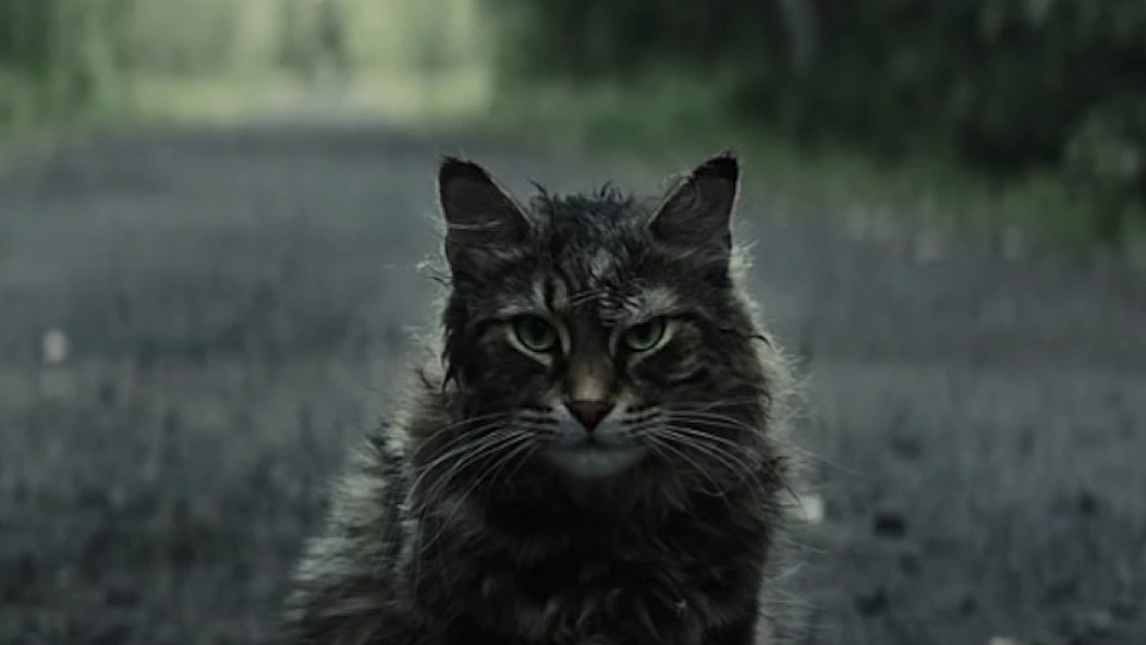 ‘Pet Sematary’ cat actor's red carpet look sparks internet frenzy