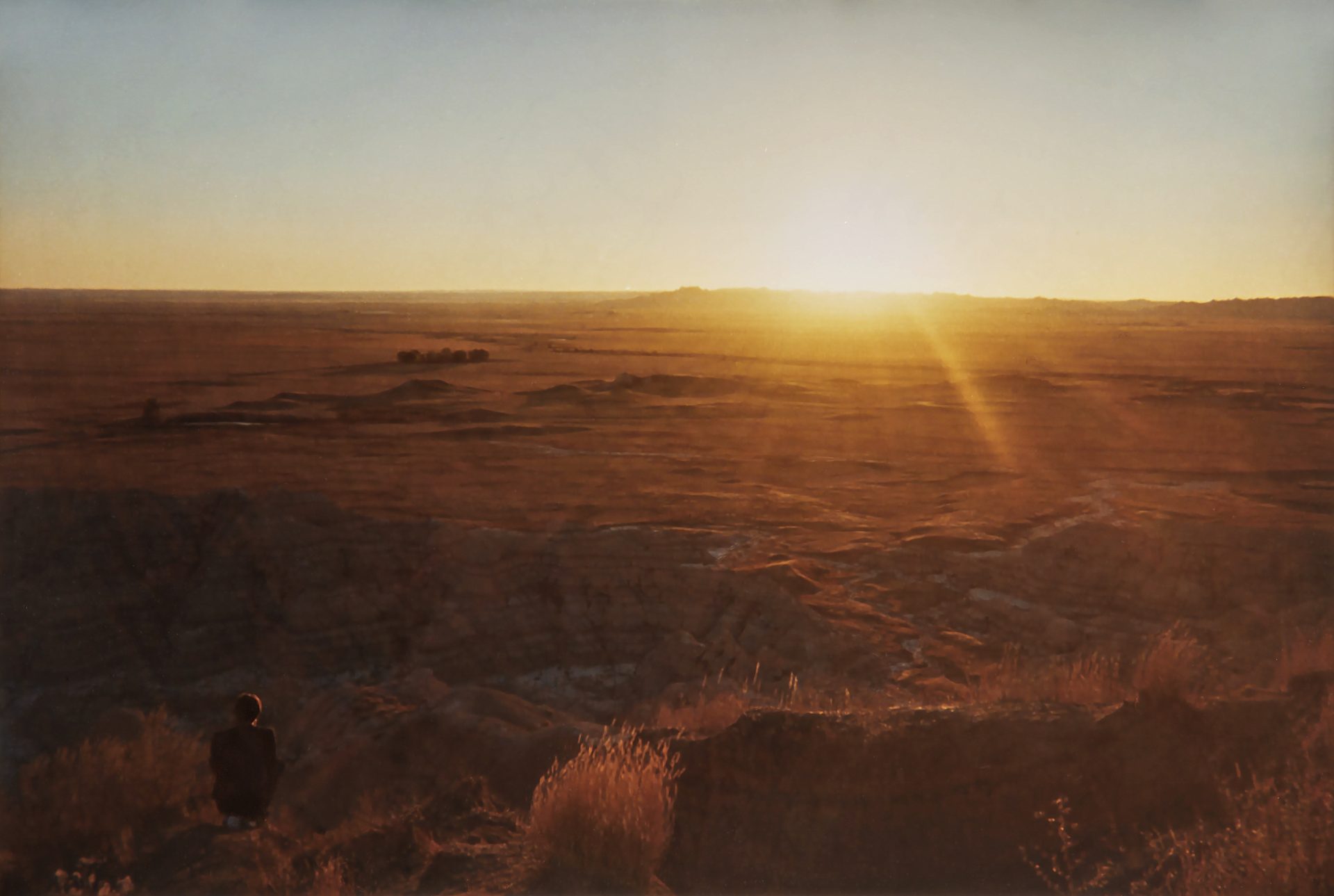 Amy Fleisher Madden on her new emo book NEGATIVES