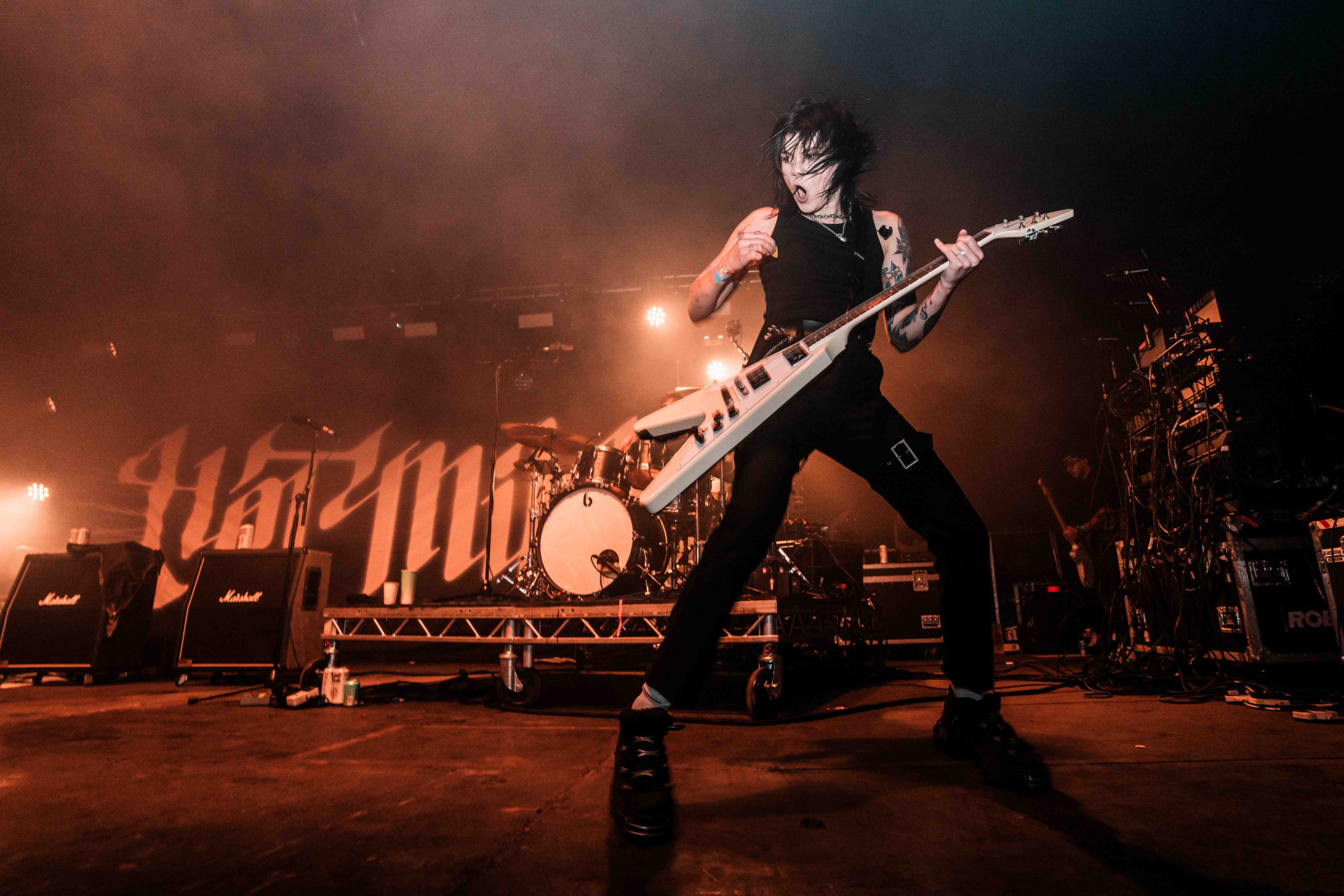 2000trees 2024: coexistence, community, and kinship