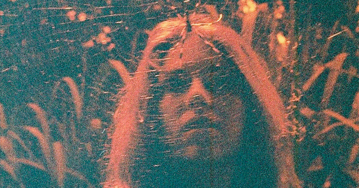 Turnover to play Peripheral Vision in full on anniversary tour